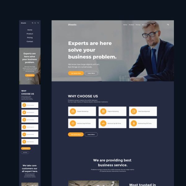 Divestic - Figma Corporate Dark Resources - Captain Design